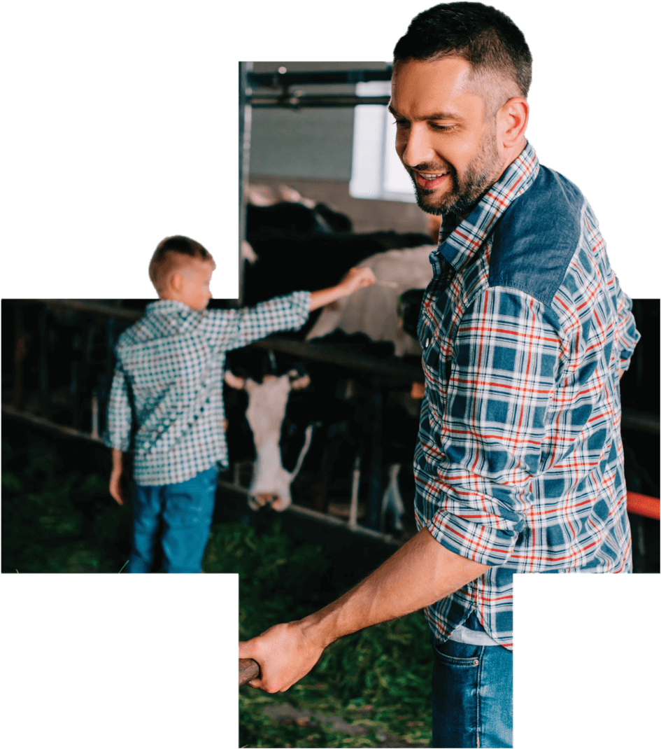 Eprecis : le traitement des parasites à l'éprinomectine | Jefaisletri