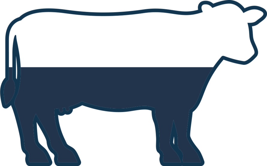 Les bovins peuvent être infestés par des parasites externes ou internes ...